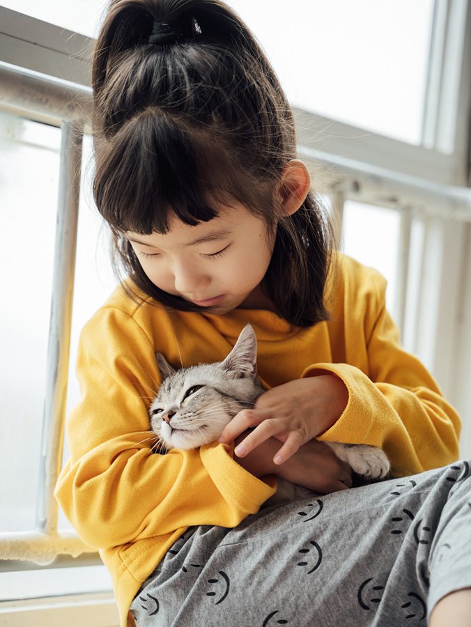 🐾 How to Teach Kids About Caring for Cats & Kittens - The Kitten Cradle